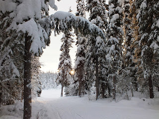 Imajin8: Skiing at UAF