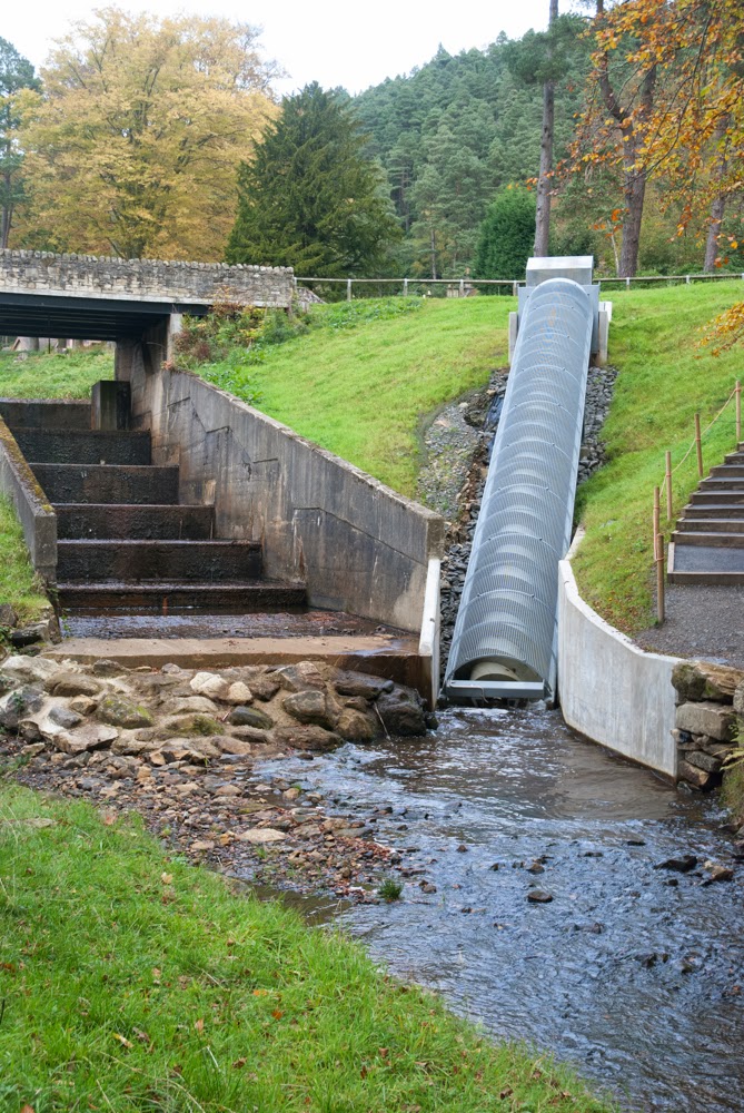 Helen Shaddock: Trip to Cragside