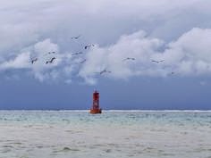 The Cape Lookout Blog: Barden’s Inlet / “The Drain”