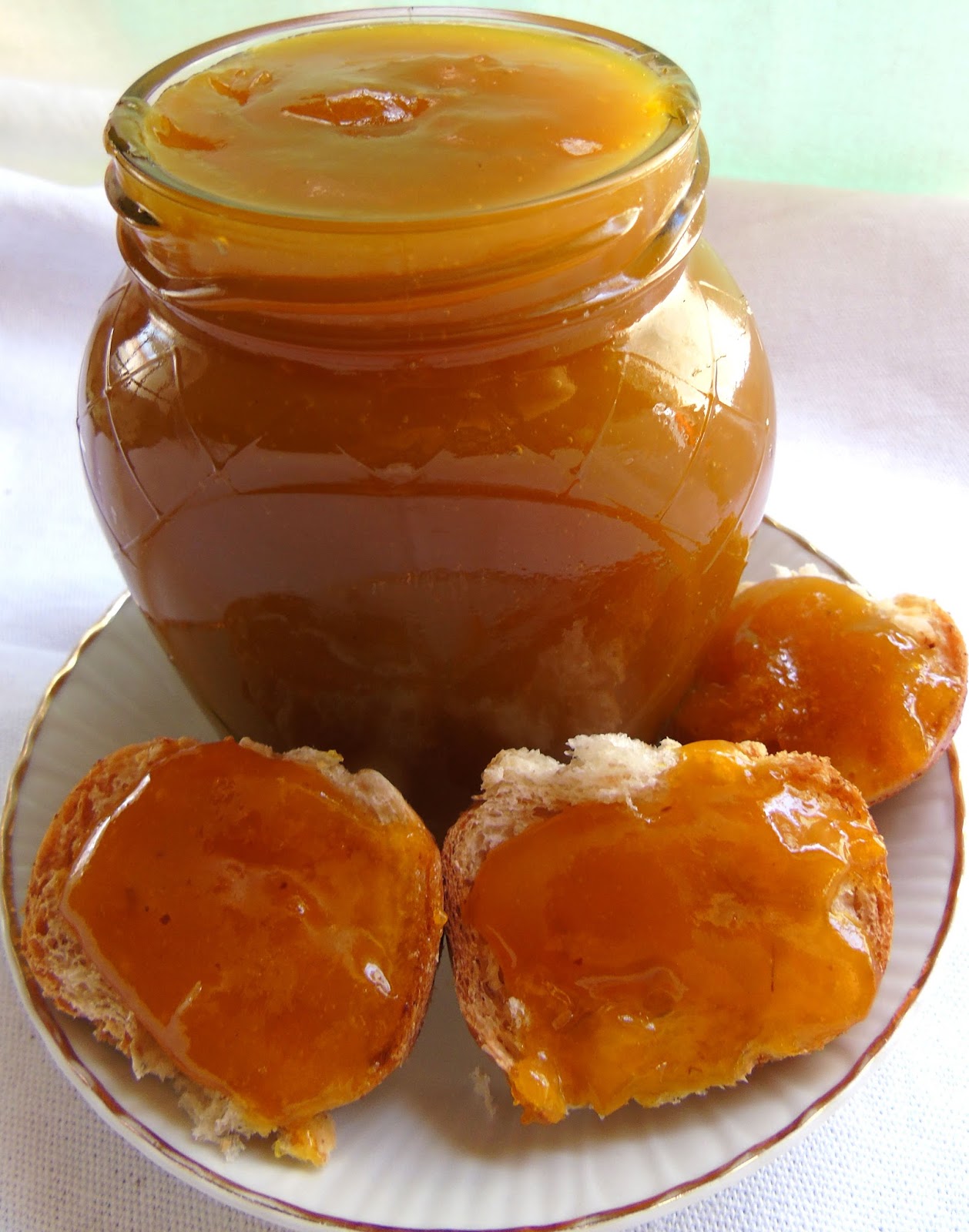 Cagaita [Eugenia dysenterica (Mart.) DC.] | A planta da vez