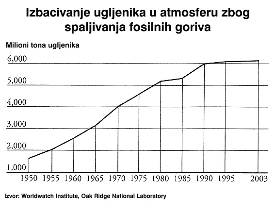 Ziveti sa Prirodom: Znacaj suma