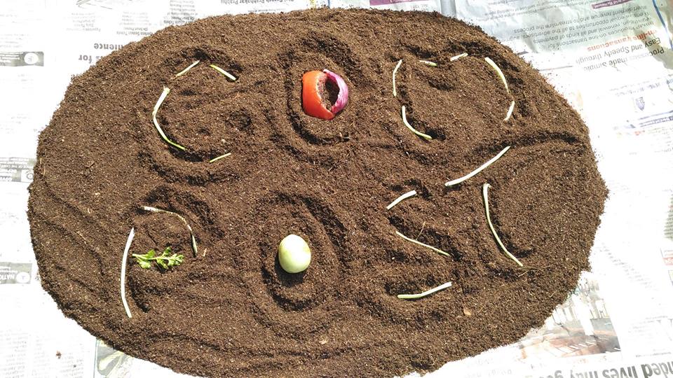 Go Green : How to do composting at home