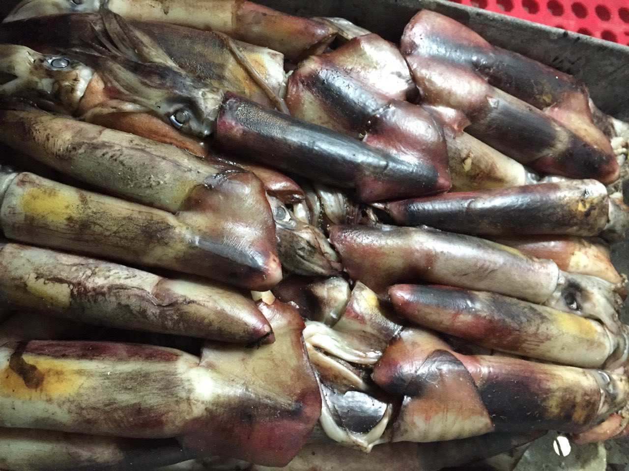 SEAFISH & RIVERFISH & SEAFOOD - FOREVER GREEN FOOD - FOREVER GREEN FOOD ...