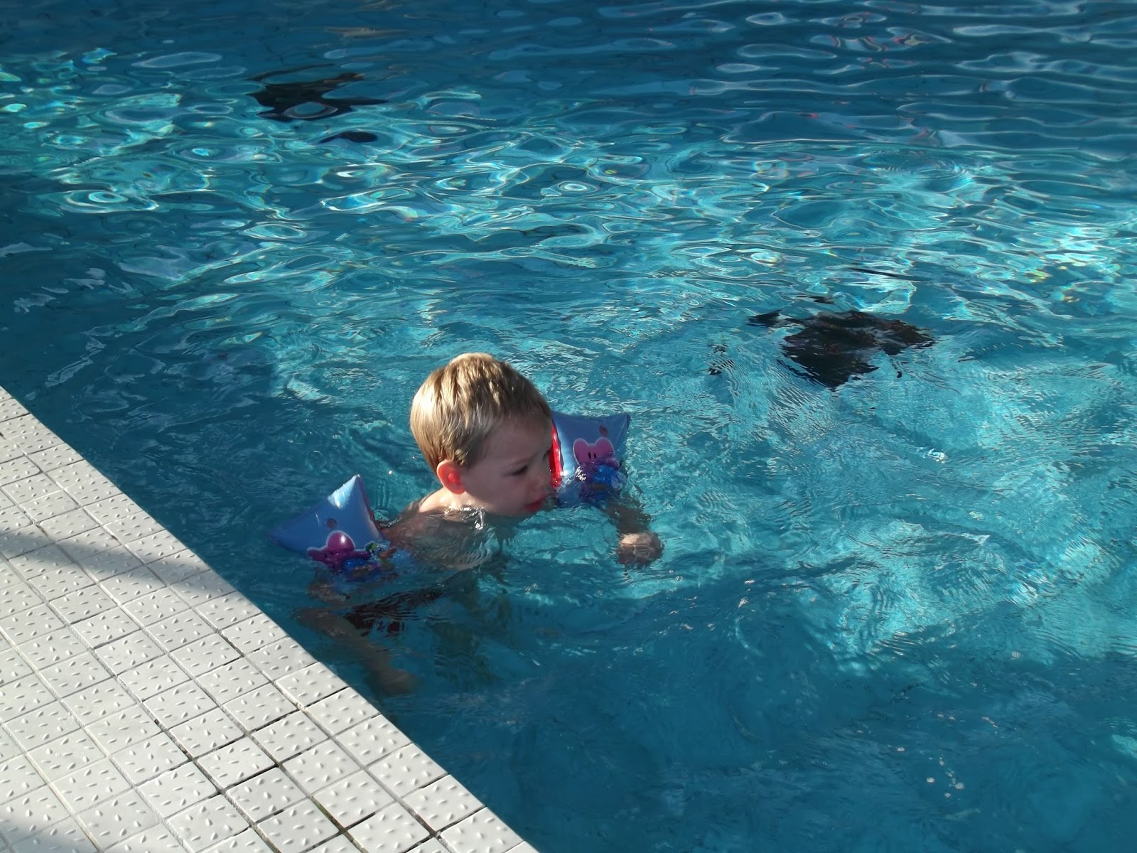 Mariaschool: peuter en 1ste kleuter naar het zwembad