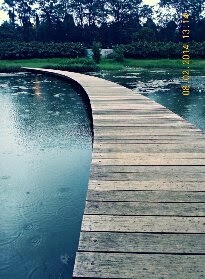 Ginosaurus: Traveling Danau Dora / Taman Bakos Bogor