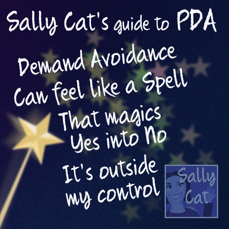 Sally Cat PDA: Memes About Demand Avoidance