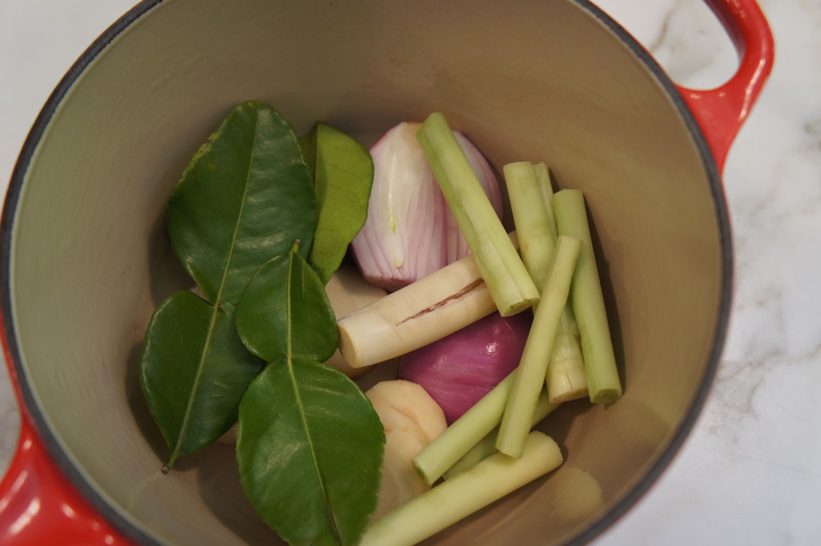 Grilled Chicken with Penang Curry Sauce