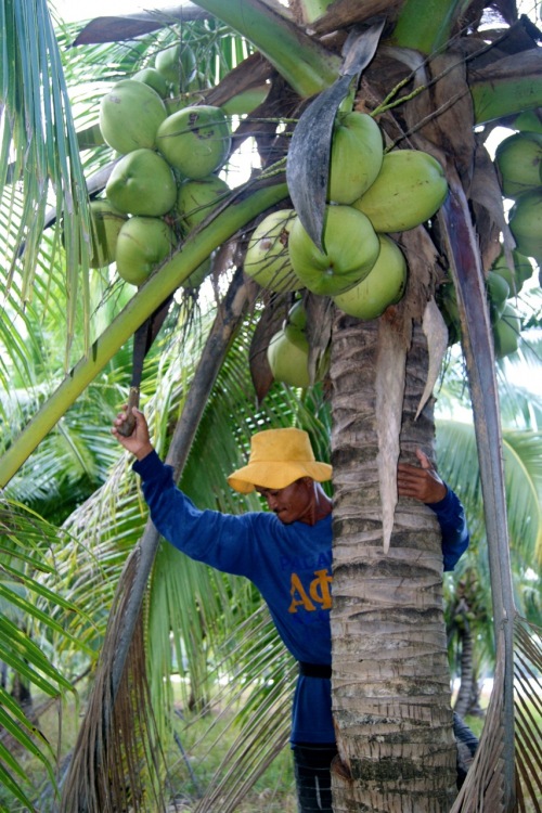 A Peek Into A Woman's Heart: 9/18/11 - 9/25/11