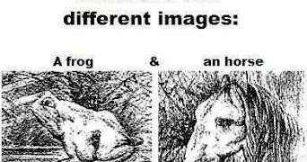 AWESOME SNAPS: Two different images...