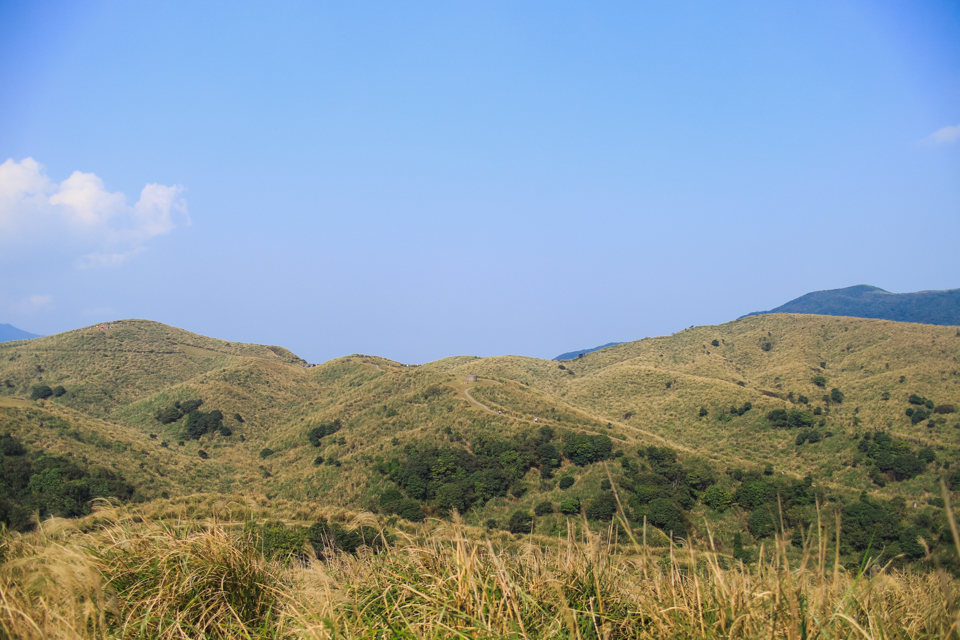 ink + adventure: Exploring Yangmingshan: QingTianGang Grasslands