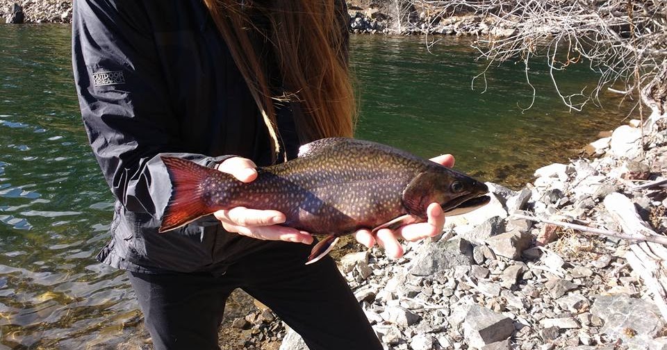 Durango & Southwest Colorado Fishing