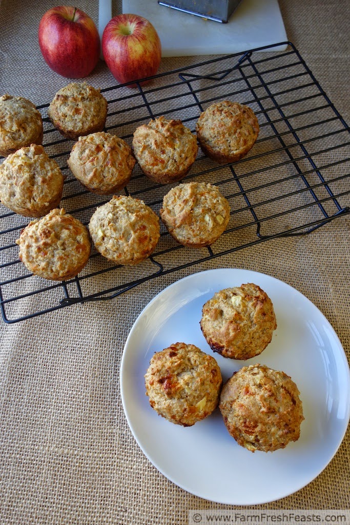 Farm Fresh Feasts: Cheddar Apple Soaked MultiGrain Muffins