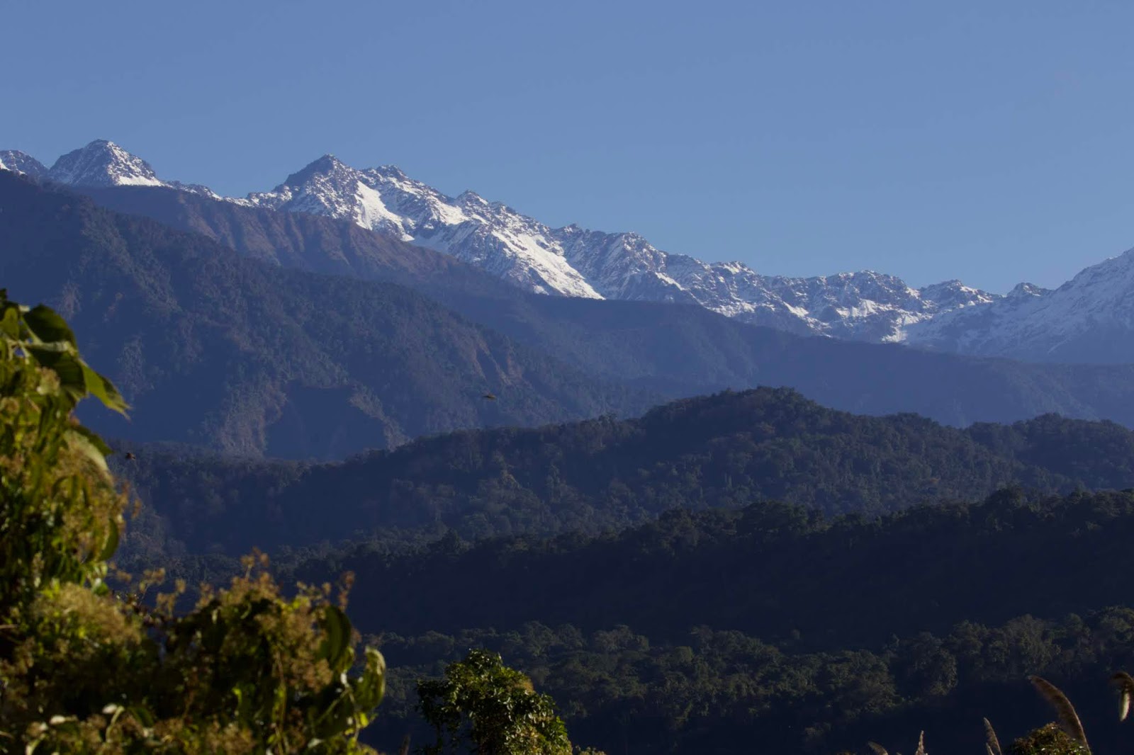 Namdapha National Park - Pure Wilderness