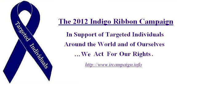The Indigo Ribbon Campaign 2012: About The Campaign (FAQ)