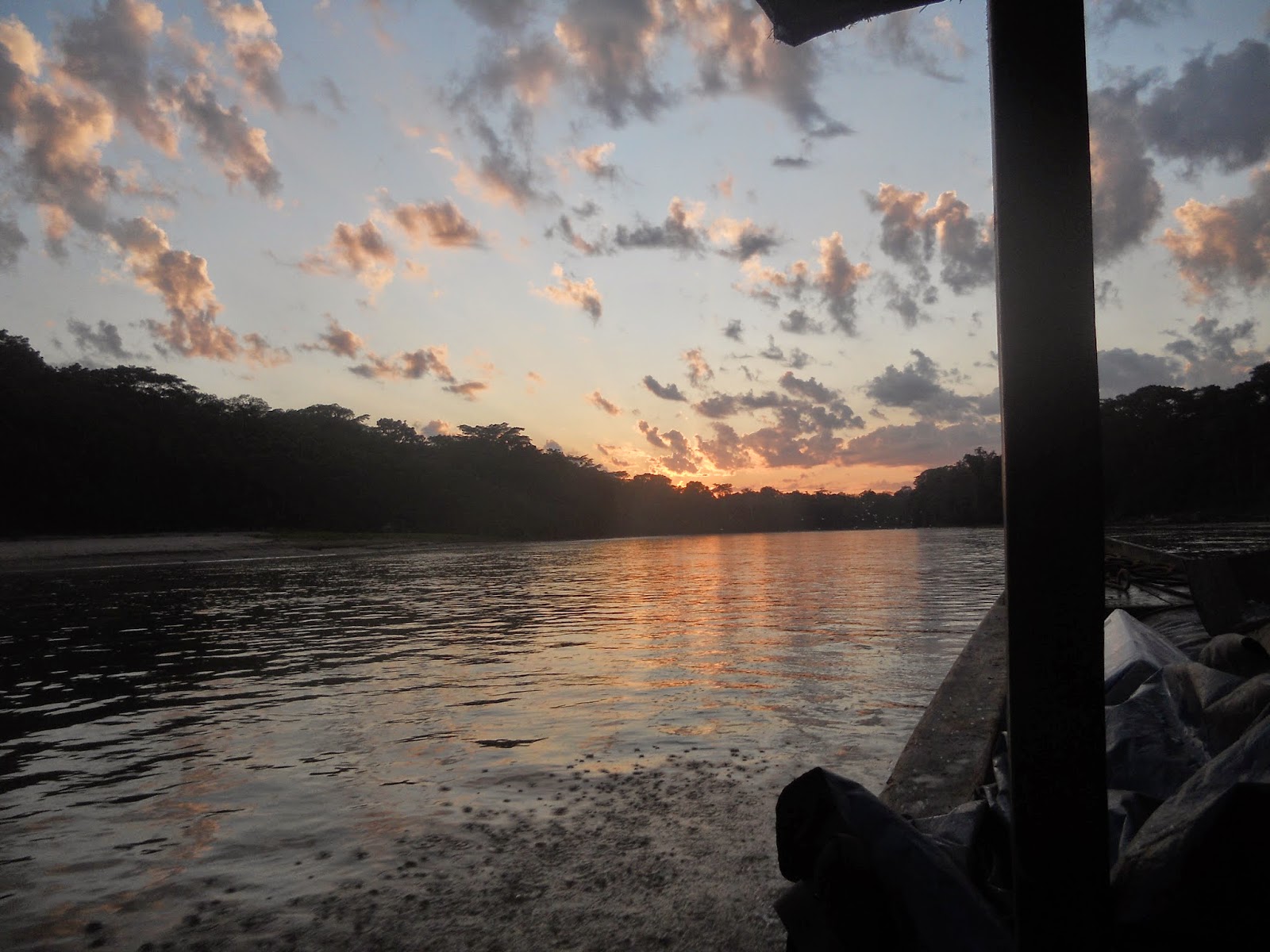 Exploring Biodiversity in the Andes and Amazon Peru: On to Cocha Cashu ...