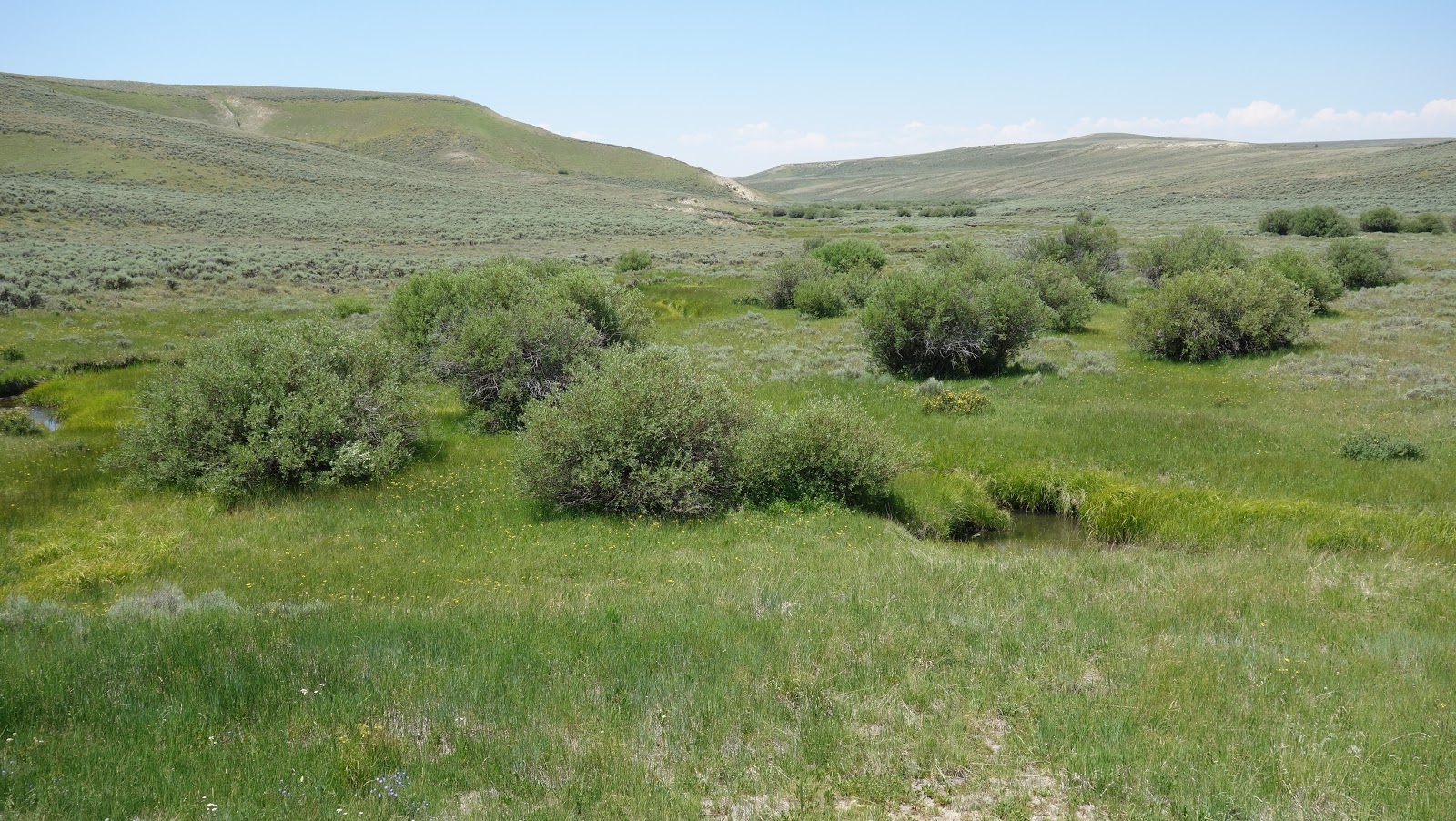 Across the Wilderness: Continental Divide Trail: Rabbit Ears Pass ...
