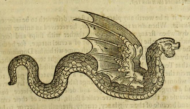 Half Dragon Half Snake