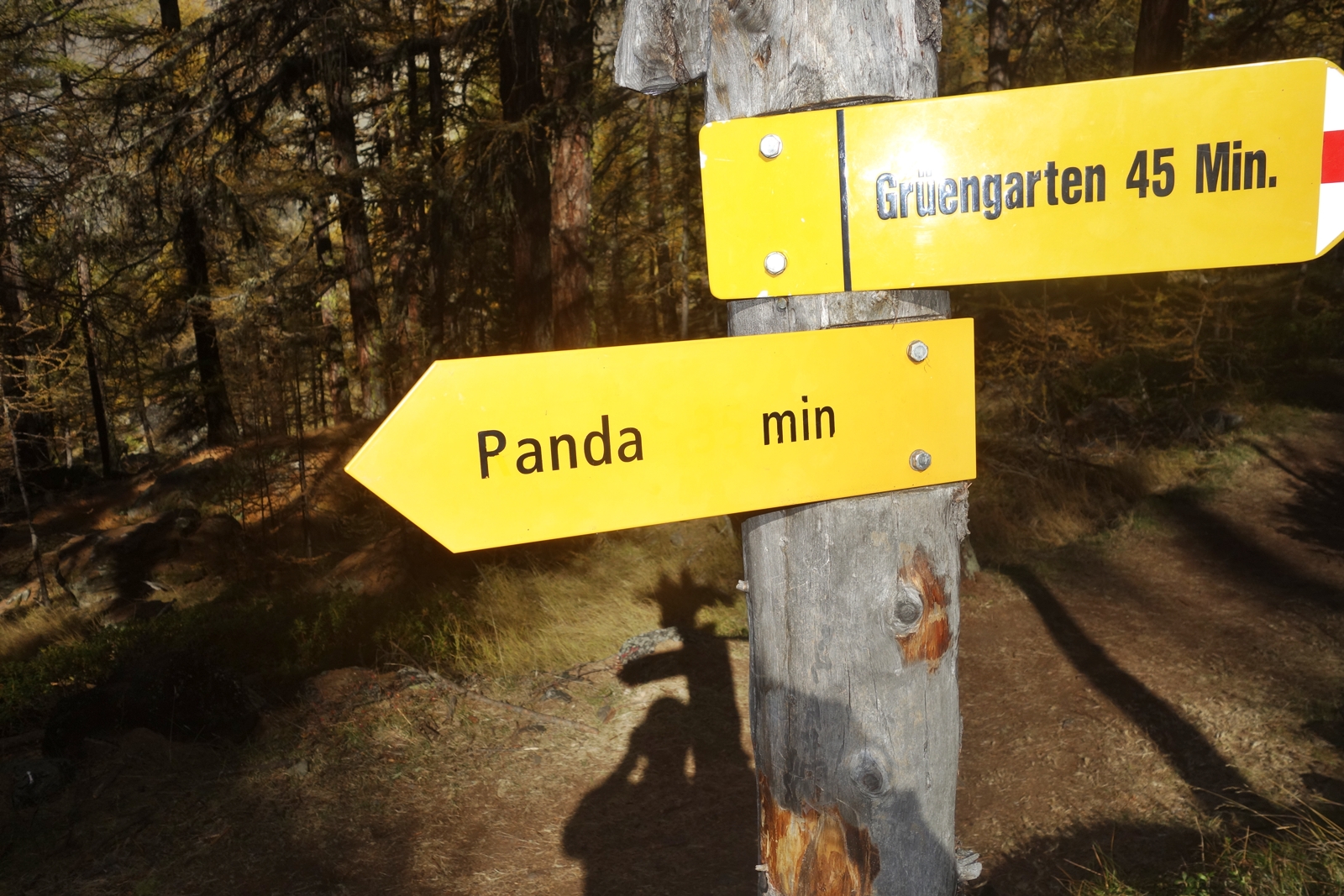 Charles Kuonen Hängebrücke ob Randa