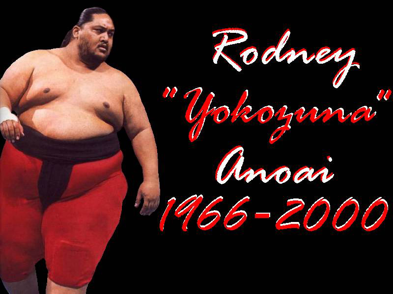 New Wrestling Players: Yokozuna Profile- wallpapers 2012