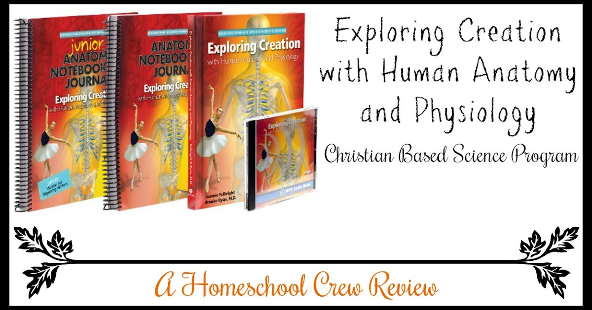 ABC's and Sweet Tea: Exploring Creation with Human Anatomy and ...