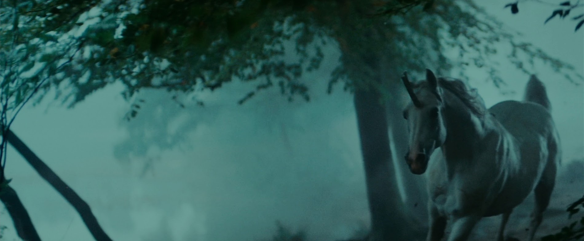 The Beautiful Film Frames: Blade Runner (1982) Blu-Ray Screenshots
