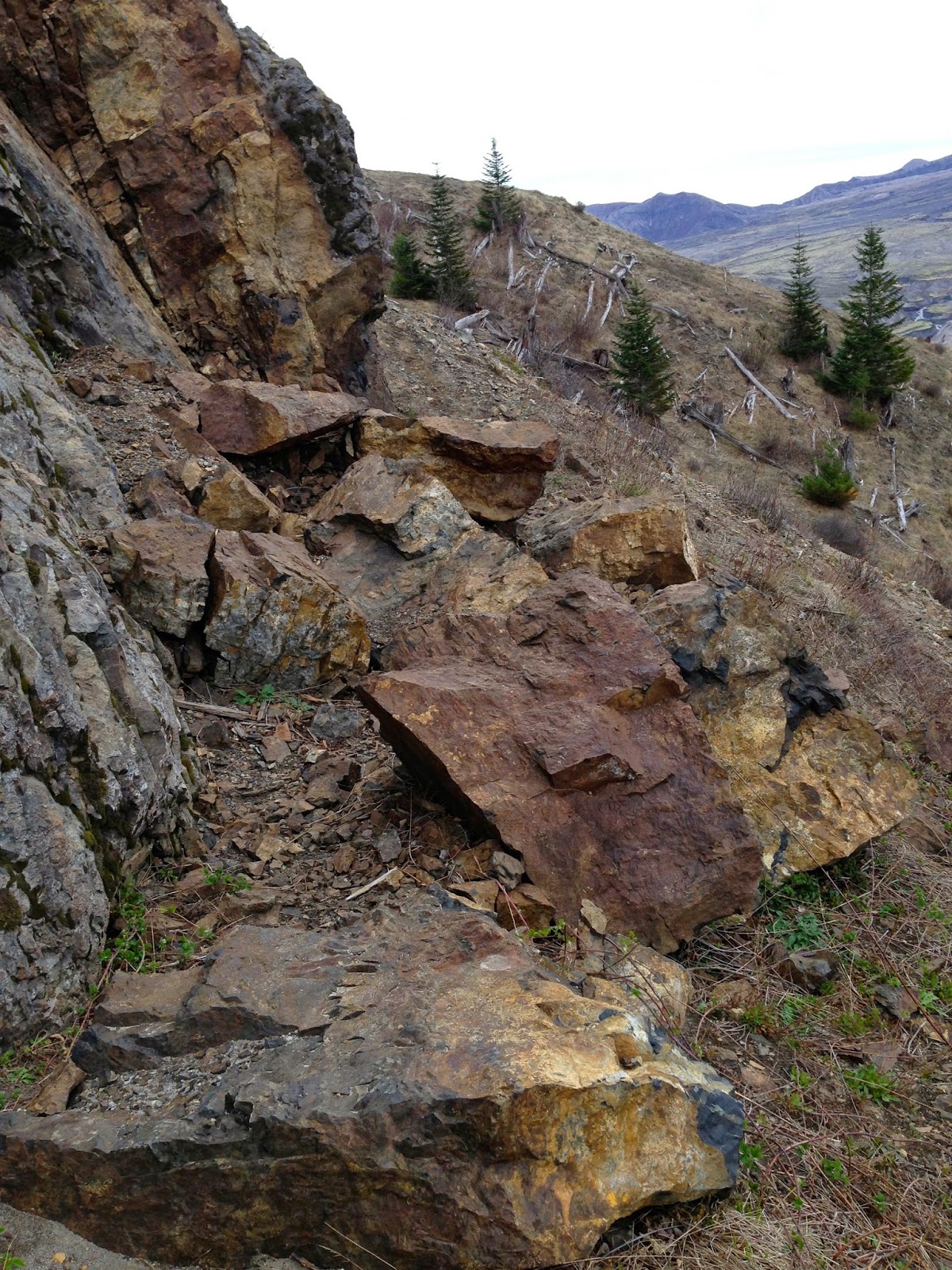 Three Hiking Sisters: Hummocks Trail & Boundary Trail #1 to Johnston ...