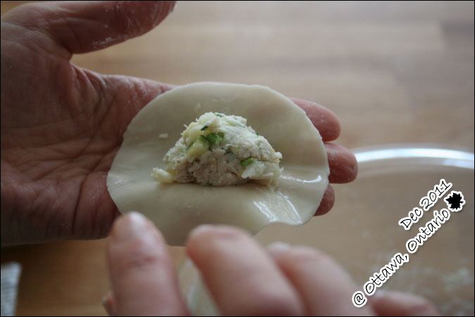 Heavenly Palate: [Pot sticker-dumpling] Easy Dumpling with leftover turkey