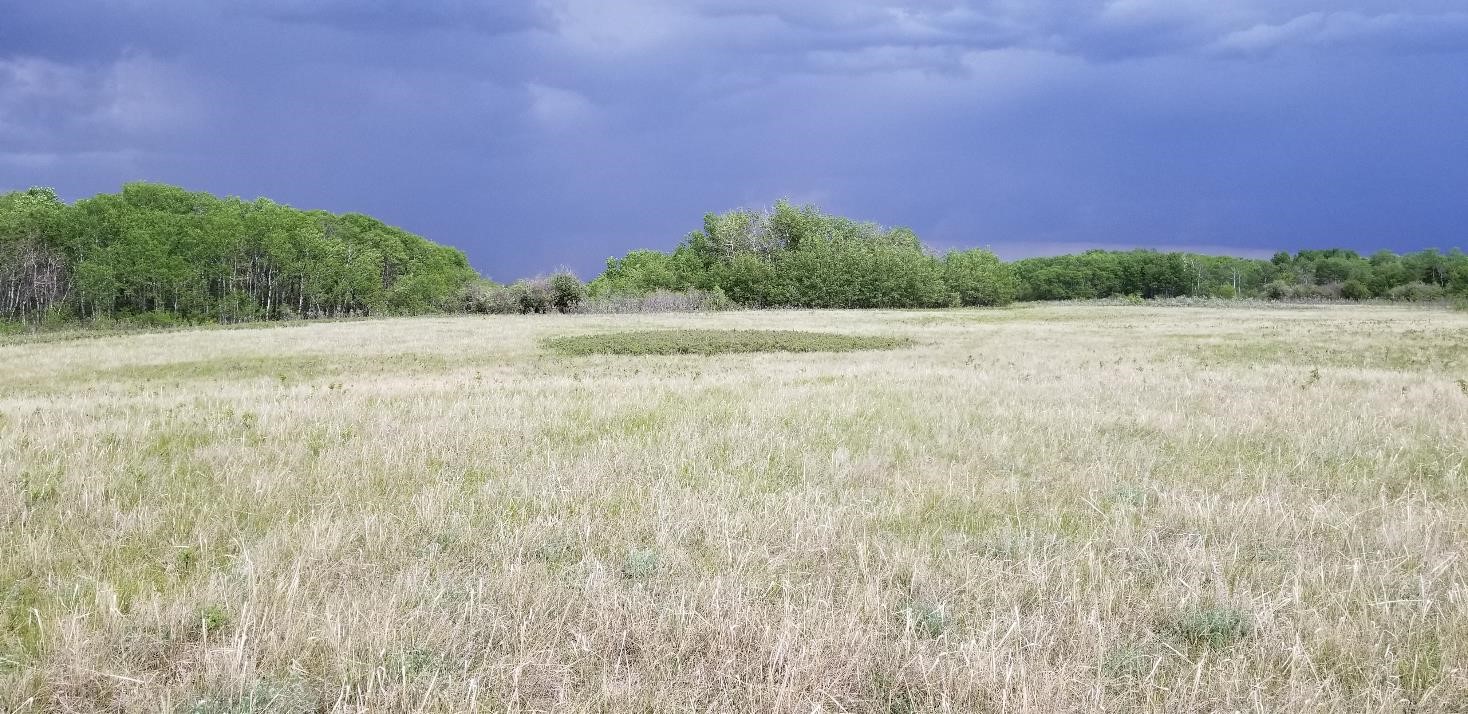 EcoFriendly Sask: Nature Conservancy of Canada: Protecting Natural ...