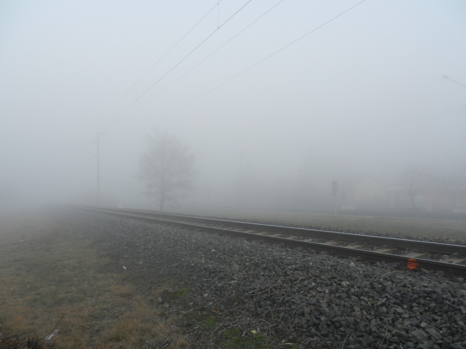 Les Oreilles Baladeuses: Brouillard # 2