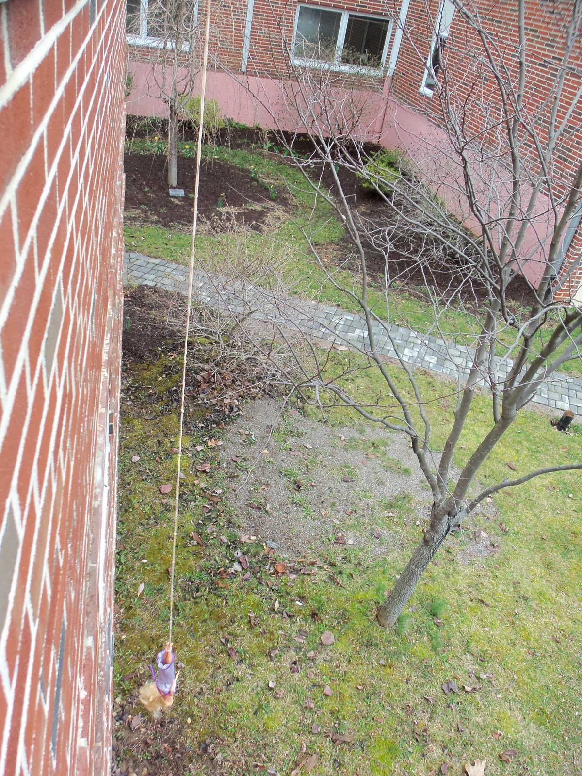 Simplifying Radicals: Barbie Bungee Jumping