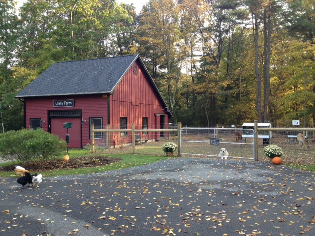 Dispatch from the Digital Health Frontier: Building Unity Farm - the Barn