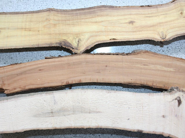 Wear the Warmth of Wood: Mulberry, Serviceberry, Chokecherry and Cherry