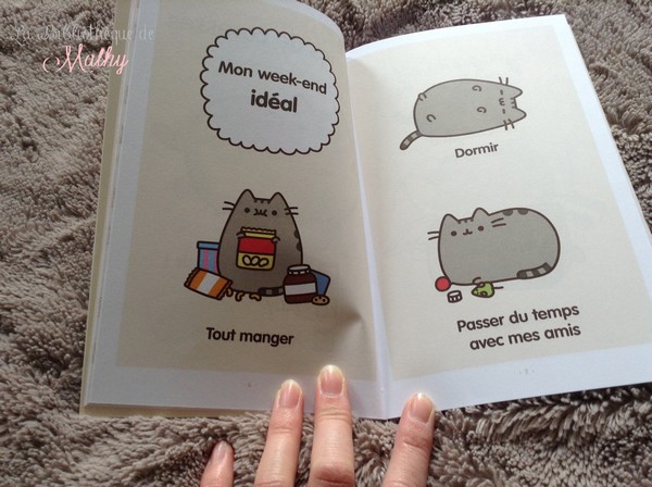 La bibliothèque de Mathy: C'est moi Pusheen le Chat