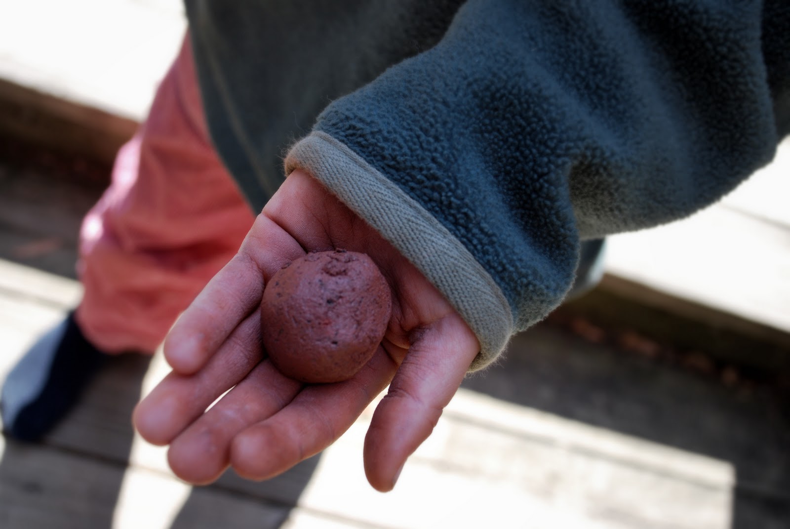 Zach Aboard: Poo Pops (tutorial and a giveaway!)