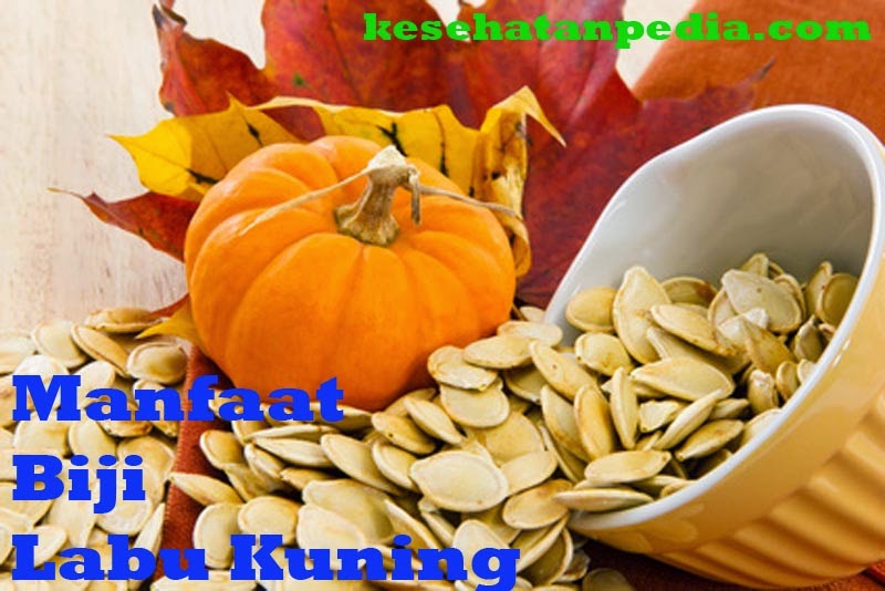 Manfaat Biji Labu Kuning atau Waluh bagi Kesehatan - kesehatanpedia