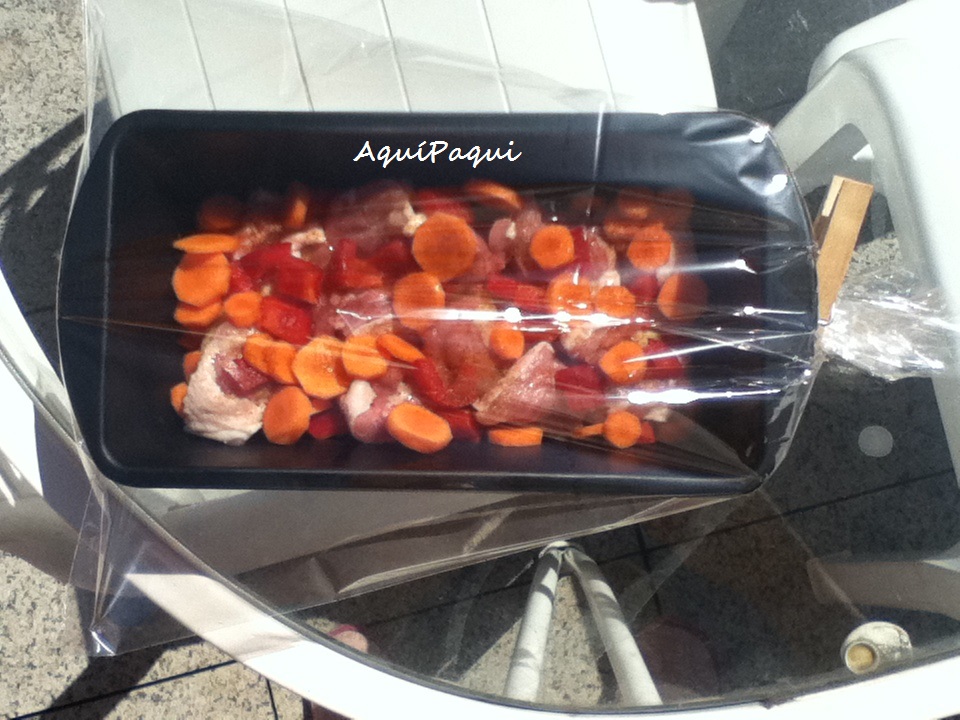 Pollo al sol guisado con un parasol de coche