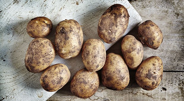 Blockbuster Articles: Potato-Heavy Diet Linked to High Blood Pressure ...