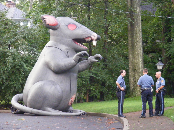 Local 157 blogspot: Rats Infest Ridgewood Over Labor Union Dispute