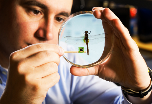 Electrical and Electronic Engineering: Tracking Dragonflies on the Wing