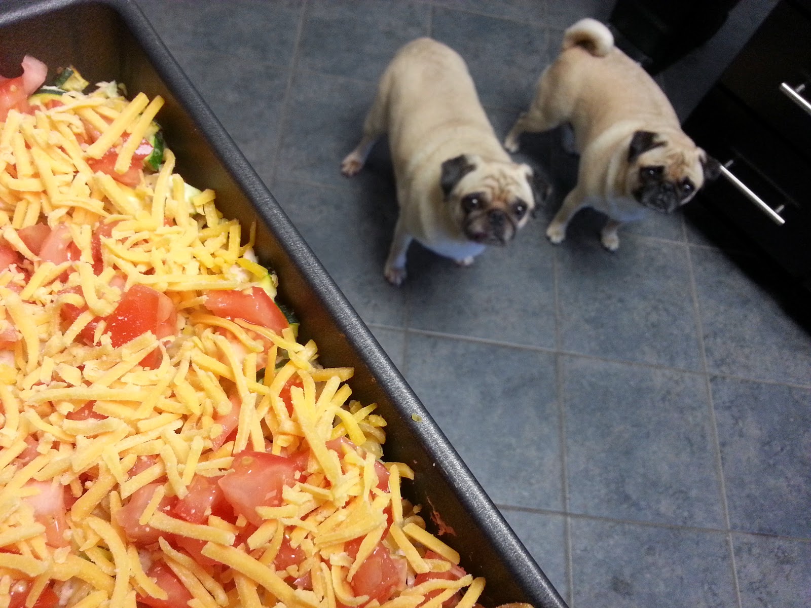 Grubbin' Pugs
