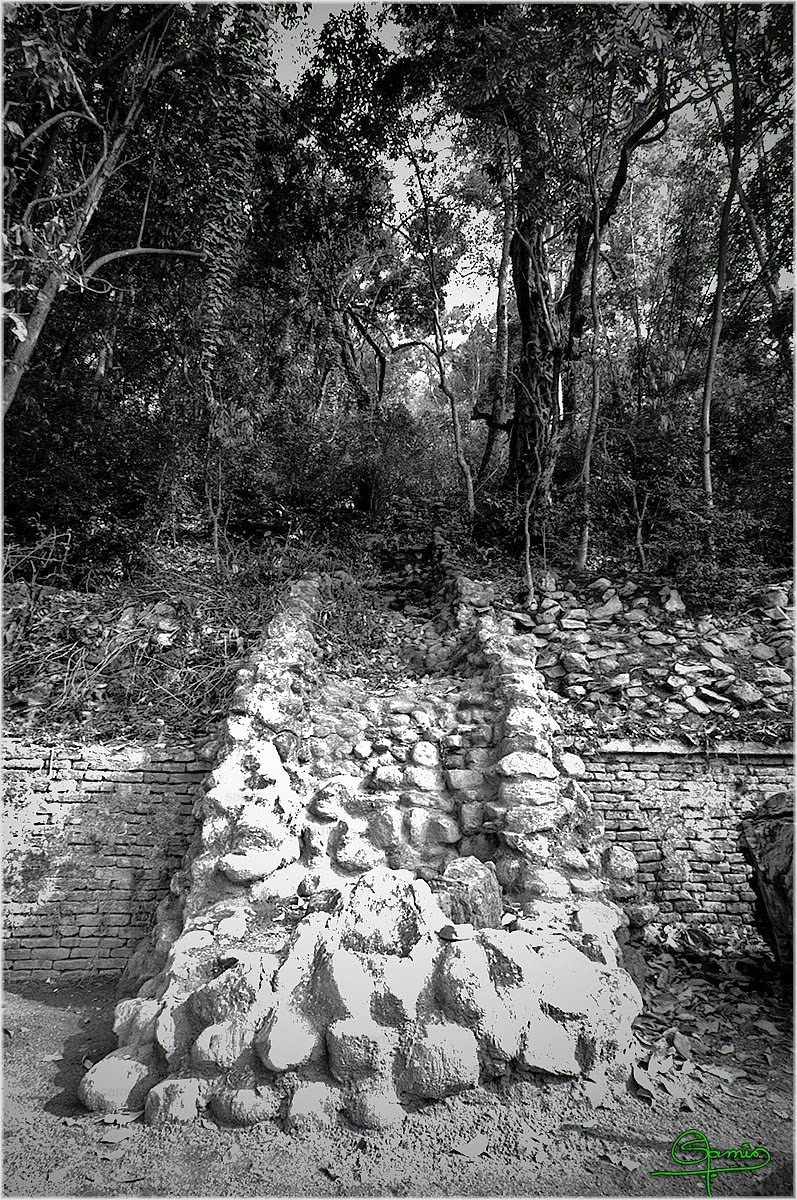 Samir Pradhananga Photography: Balaju 22 Dhara Park Photo Walk & Monkey ...