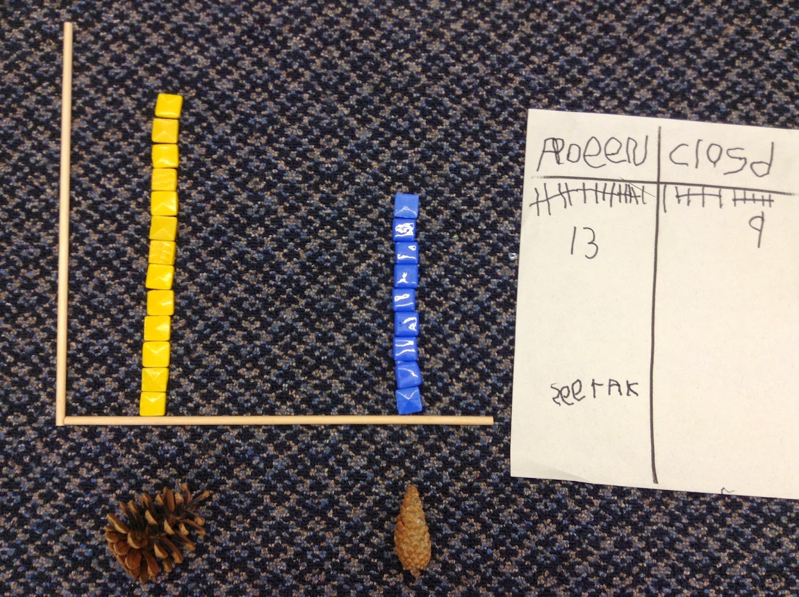 Welcome to Kindergarten: Surveys and Graphs