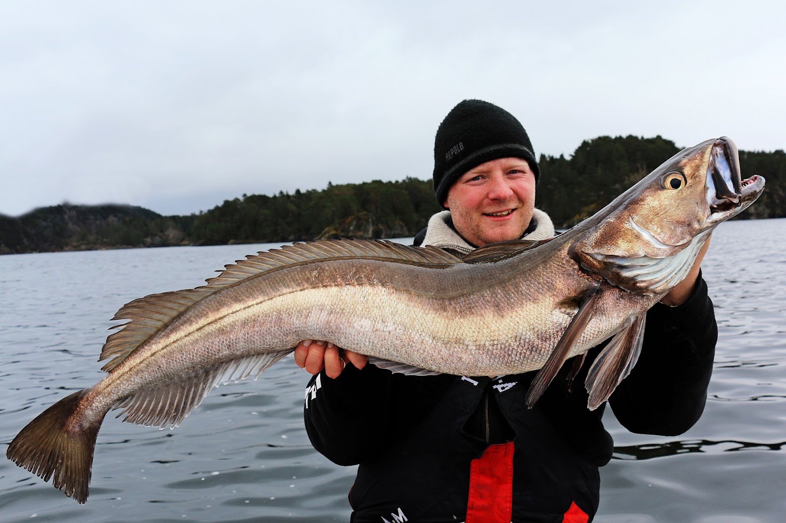 Nyhende, fiske | Endre har fiska 89 ulike artar. No inviterer han til ...