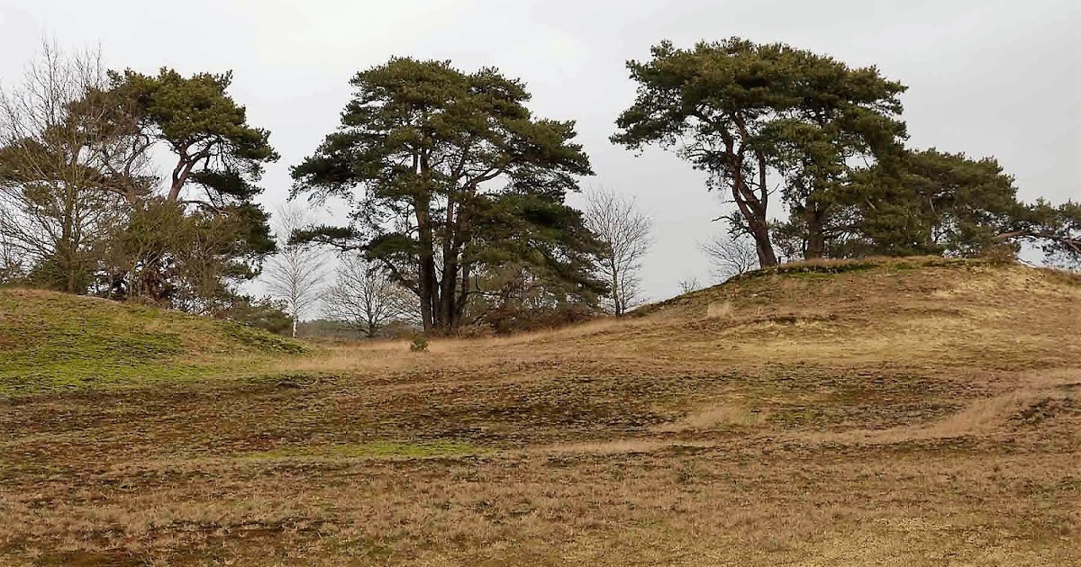 Mooiste Routes: Wandelen bij Harskamp (Gelderland)