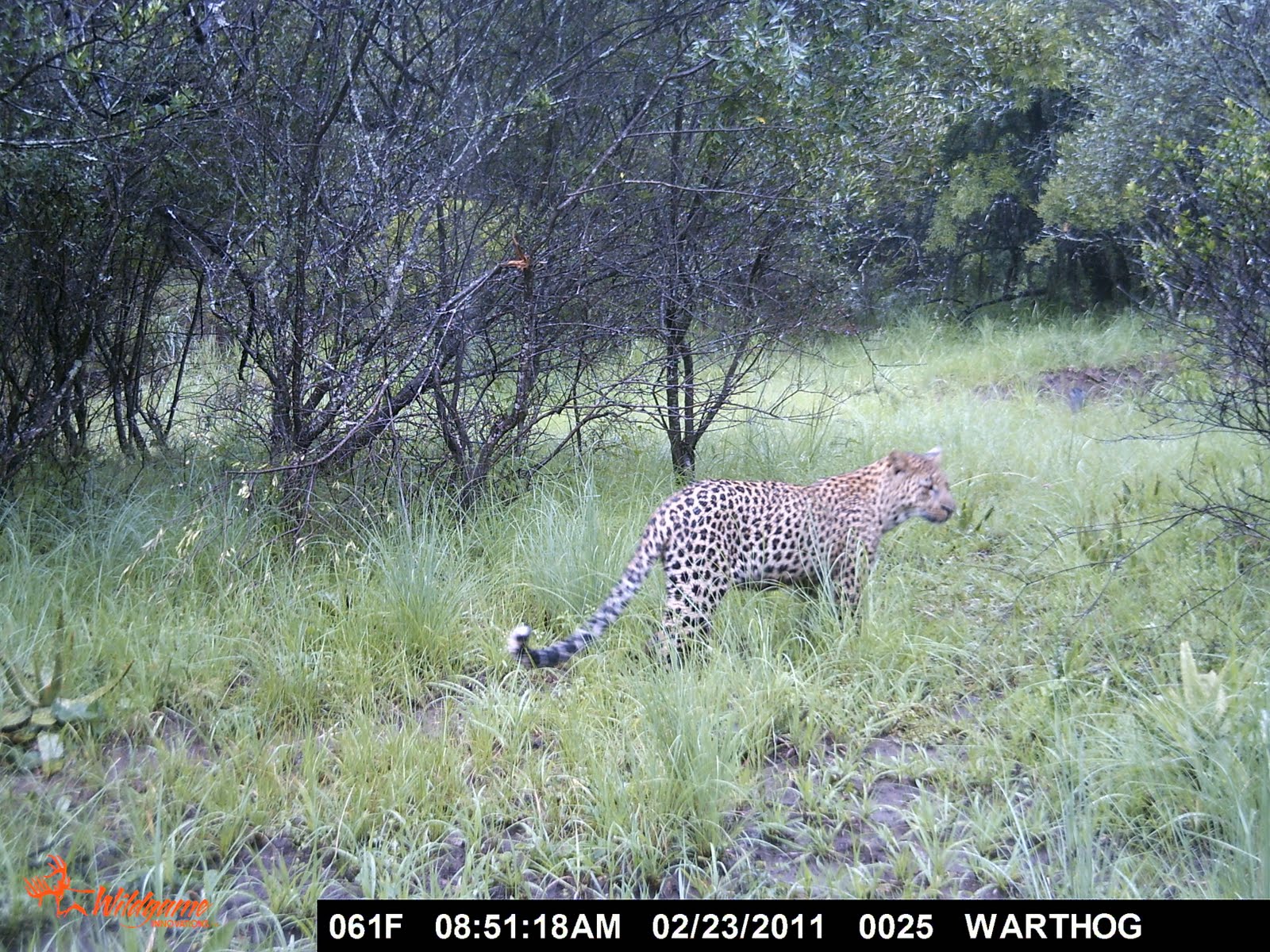 Kwa Mmatau Wildlife Reserve