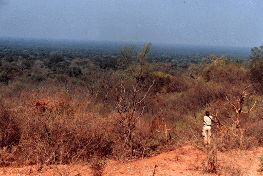 El Impenetrable grande regione vergine di 6.000.000 di ettari ...