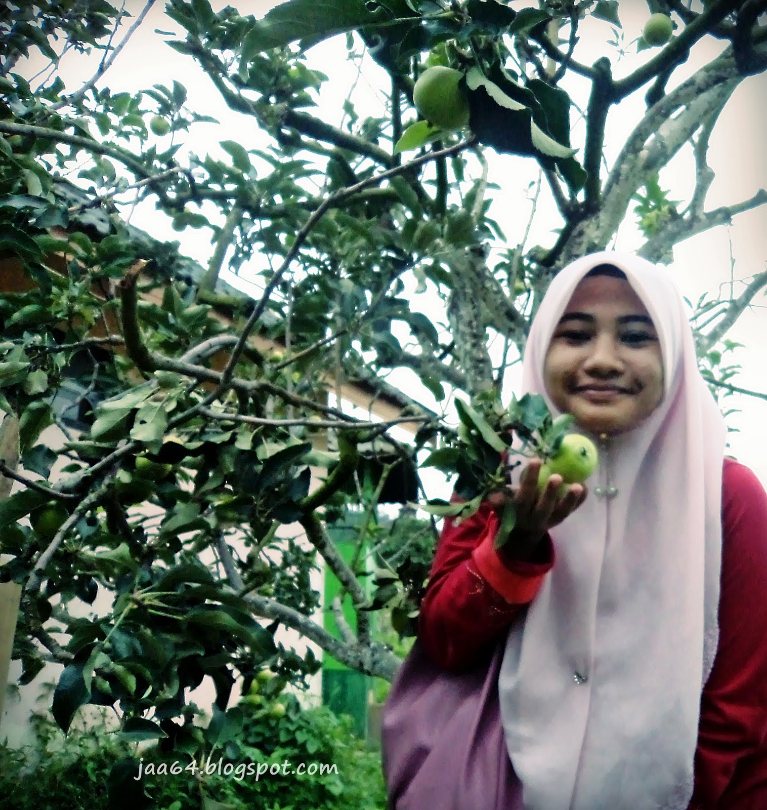 JaA's StorY: Trip to Surabaya and Malang -petik jambu, epal dan taman ...