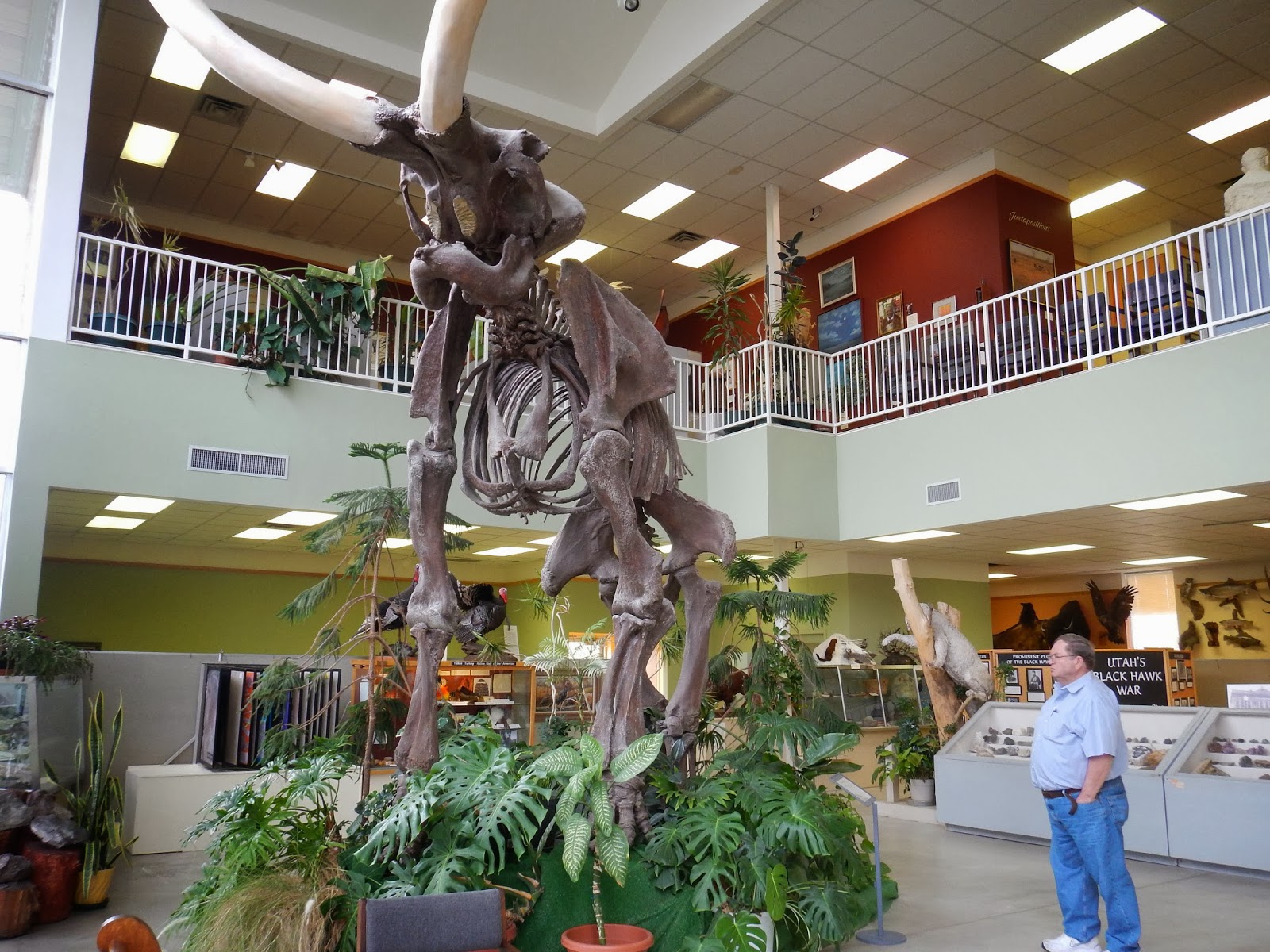 A Place to Share: Fairview Museum