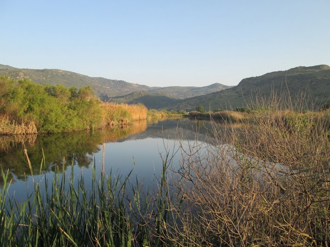 11Science: Zonsopgang bij het meertje