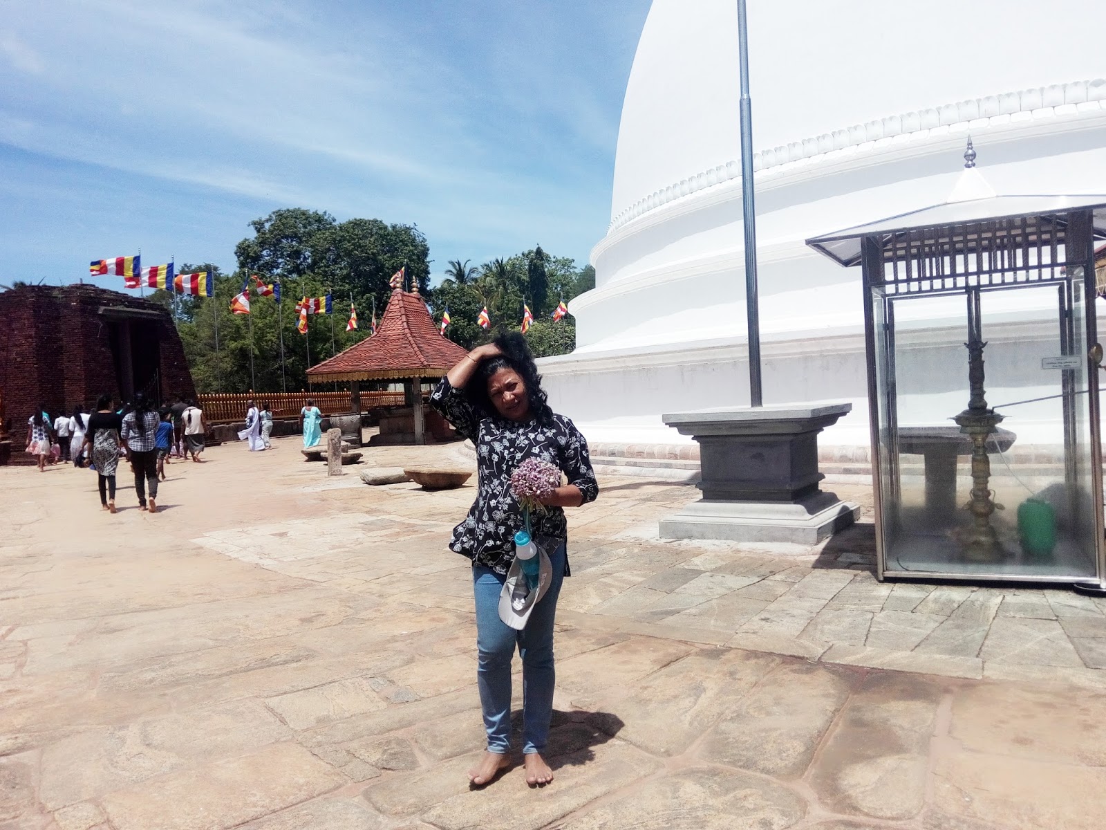 The Sri Lankan Traveller : Seruwila Raja Maha Vihara